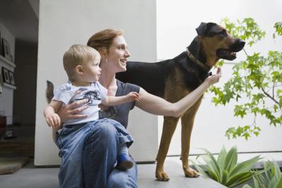 Baby Safety Around Your Dog
