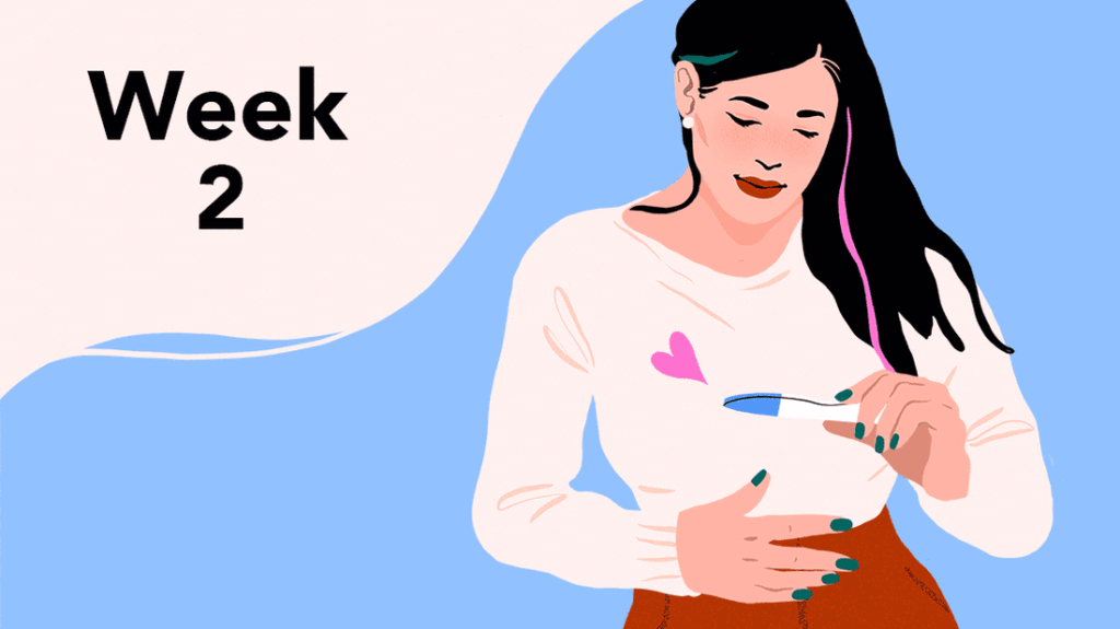 Pregnancy Week-by-Week | Mom.com