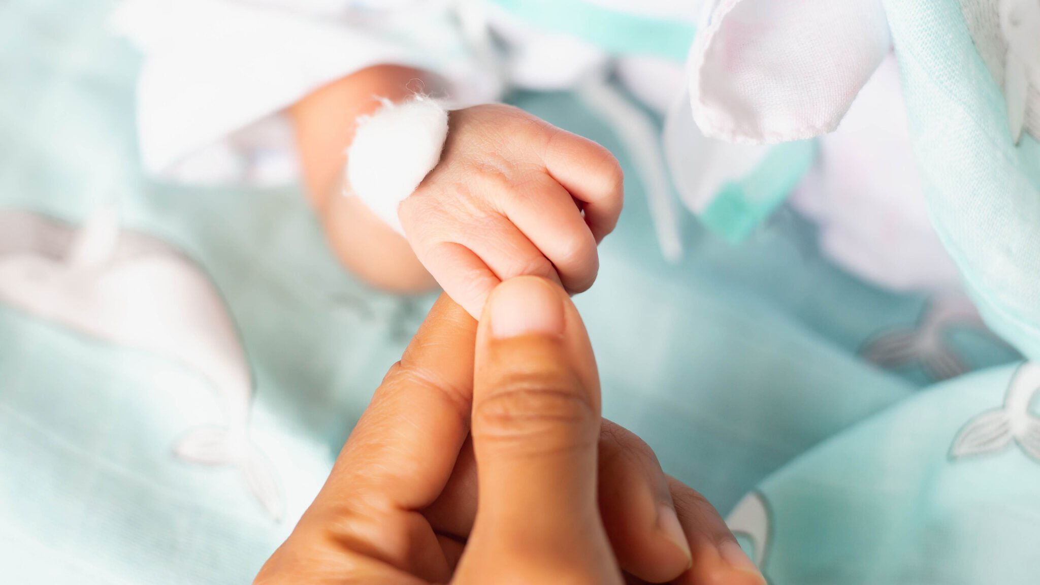 When Can a Baby Survive Outside the Womb?