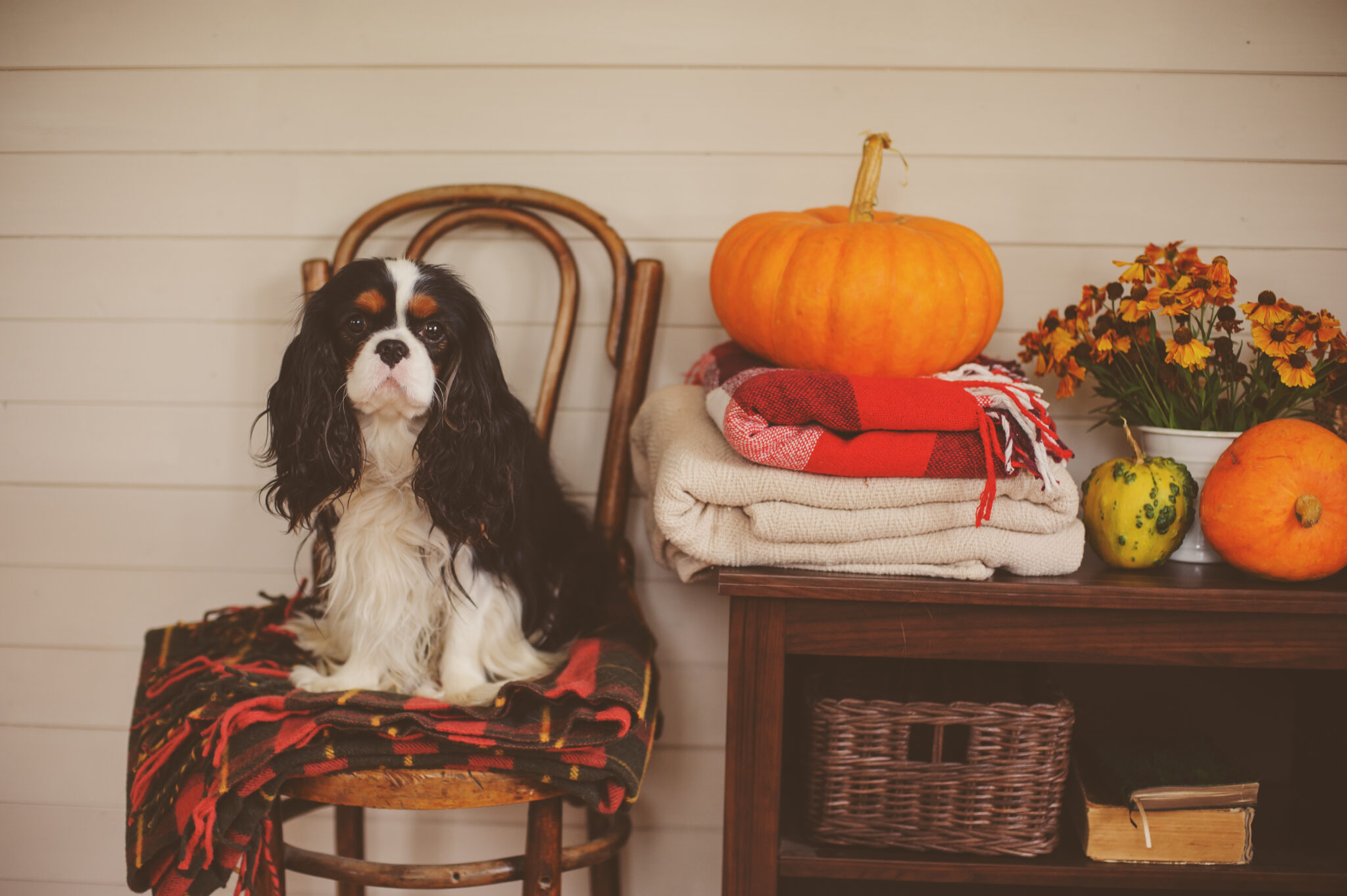 The Definitive Answer to When You Can Start Decorating Your Home for Fall