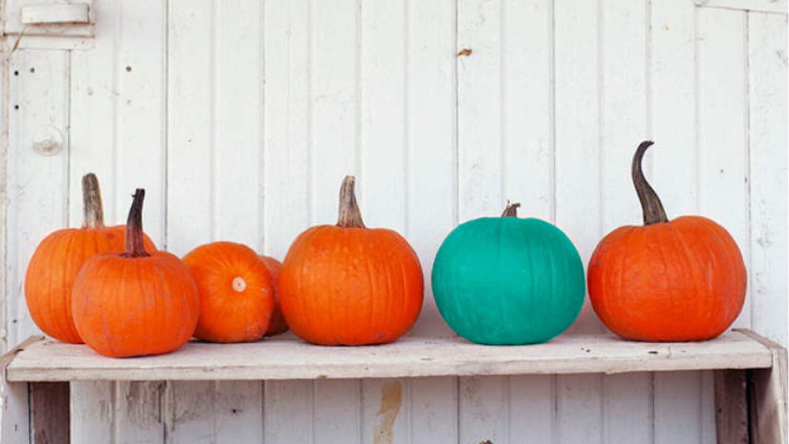 What It Means If You See a Teal Pumpkin This Halloween